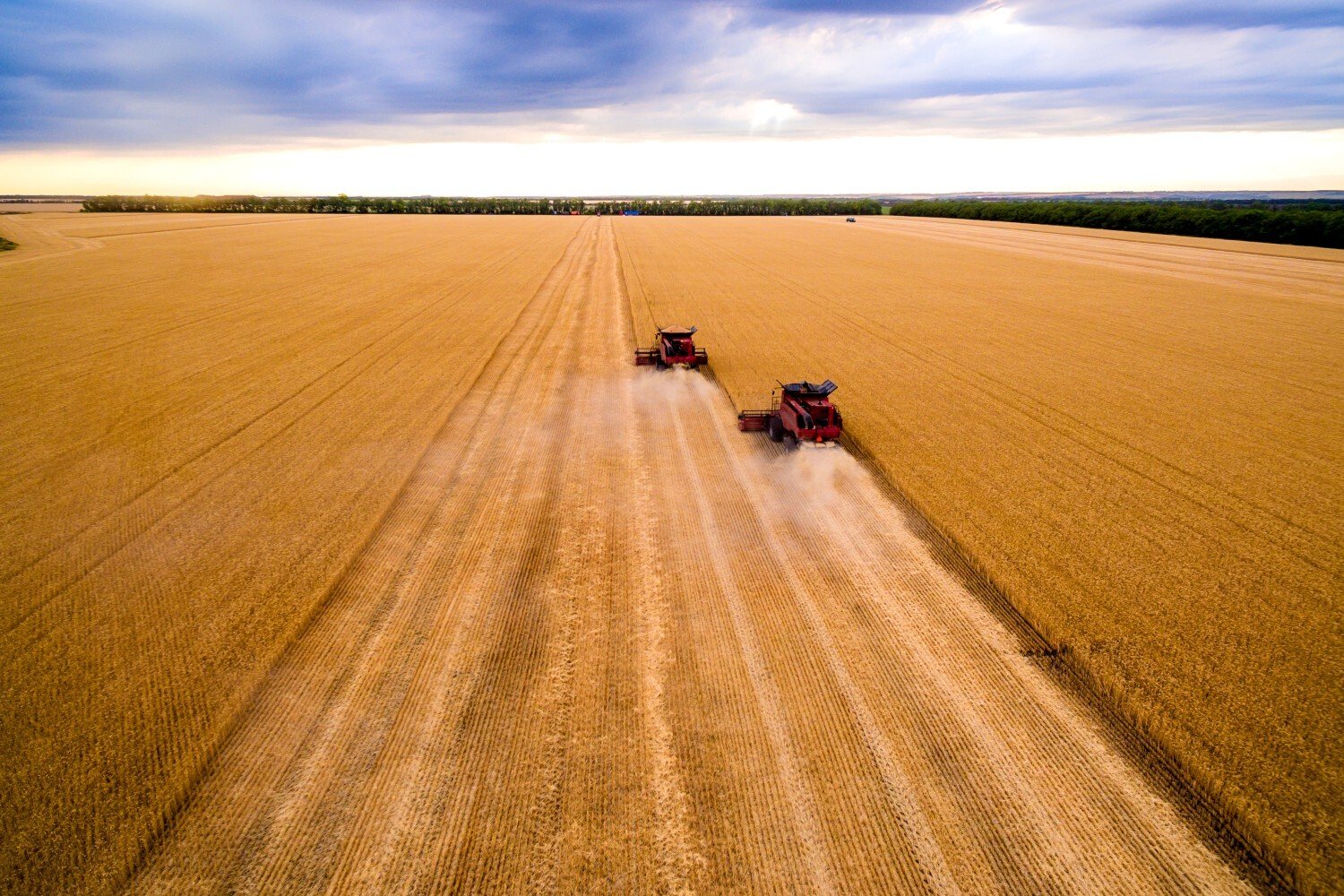 Ag Lending 101: What Farmers and Agri-Business Owners Should Know